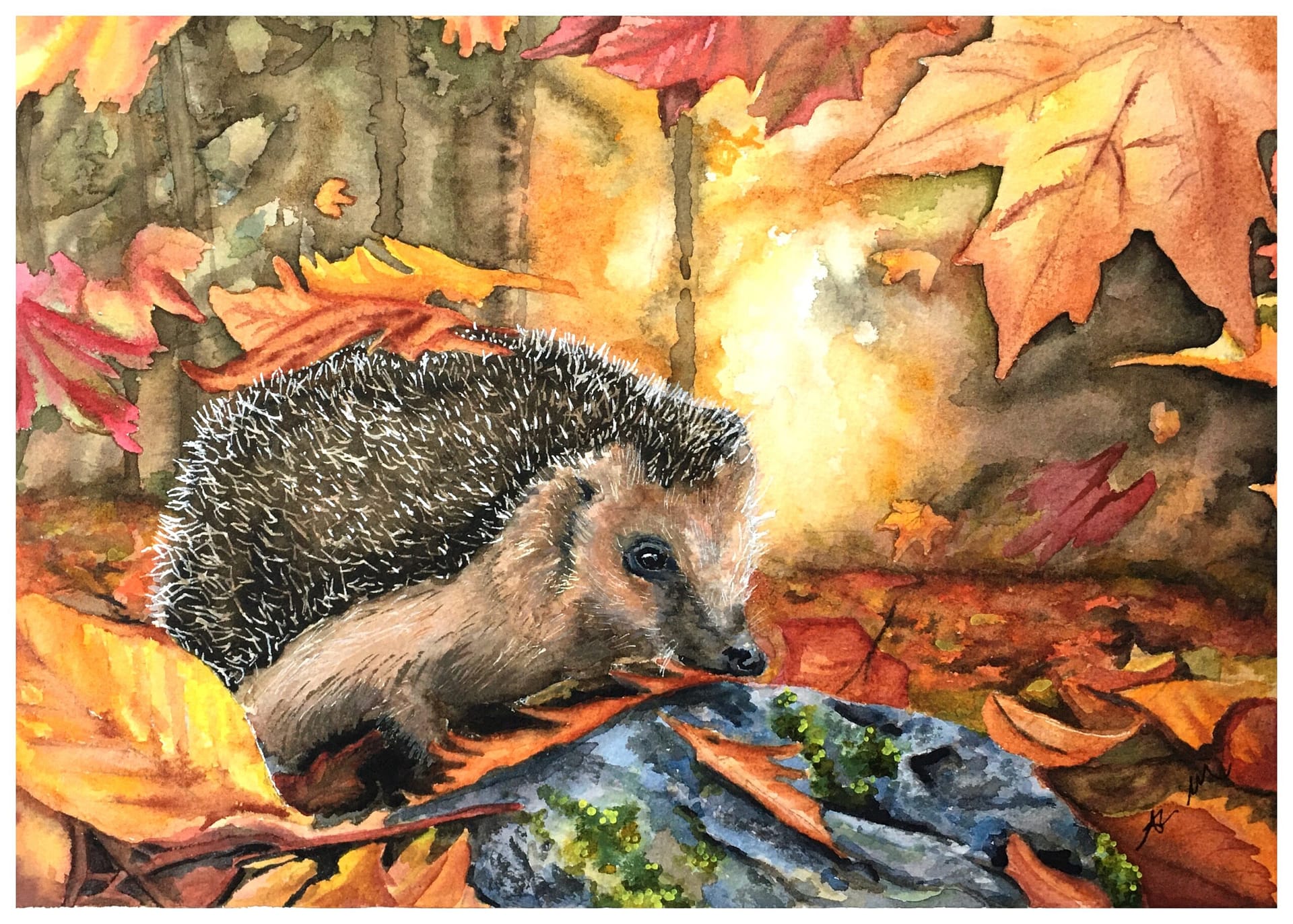 About The Artist - Pet Pastel Portraits